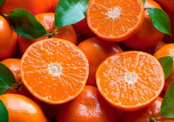 ClemenGold expands in Europe and Asia | Article | Fruitnet
