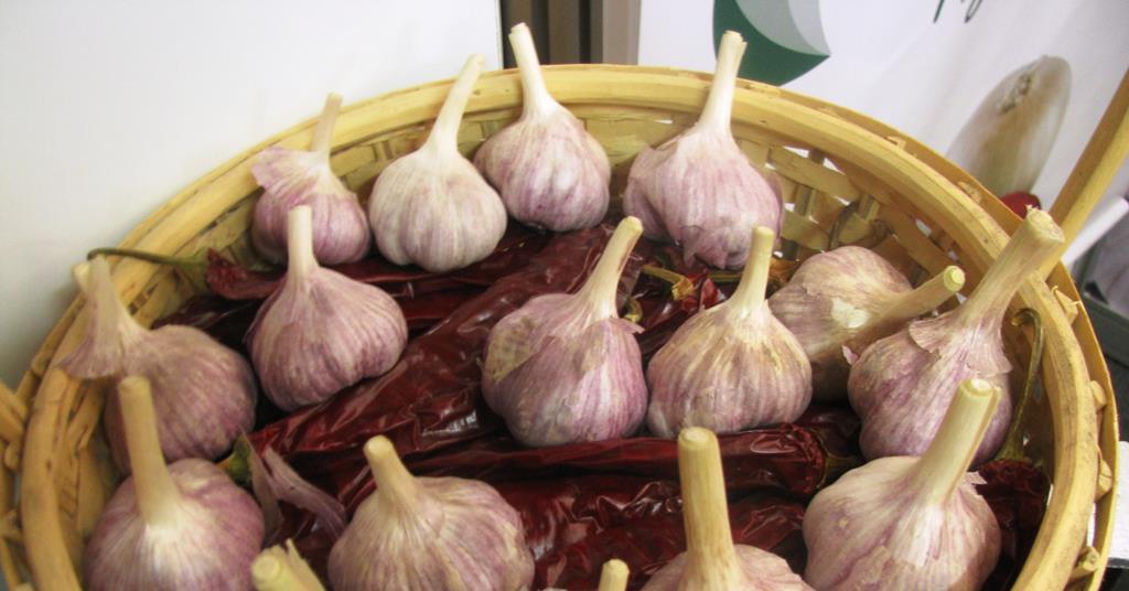 Peru records garlic success | Article | Fruitnet