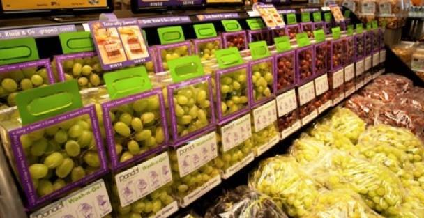 Pandol rolls out new grape packaging | Article | Fruitnet
