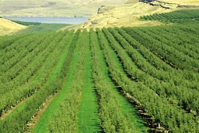 CropLogic targets Washington State | Article | Fruitnet