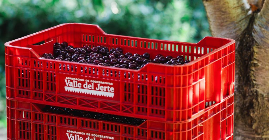 Picota campaign kicks off in UK | News | Fruitnet