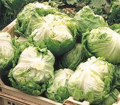 Spanish iceberg down by 30 per cent | Article | Fruitnet