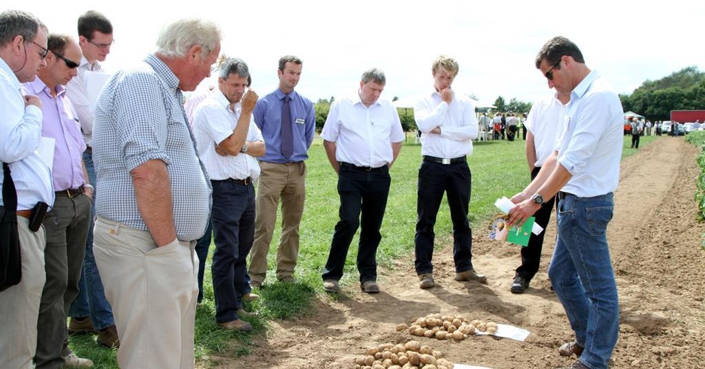 Agronomy heavyweights scoop potato awards | Article | Fruitnet