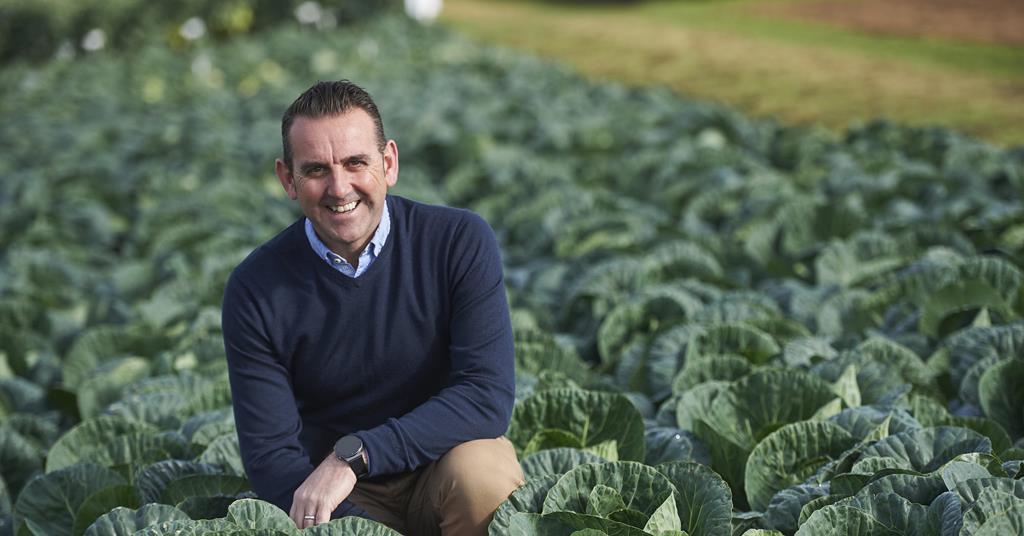 Elsoms on the hunt for international distribution partners | Article ...