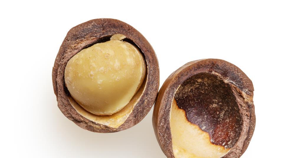 New macadamia varieties to lower costs | Article | Fruitnet
