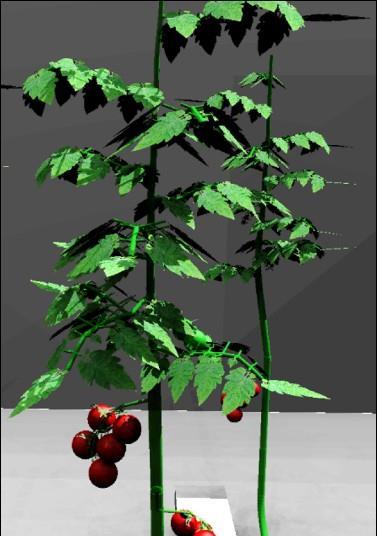 The fruit simulator | Article | Fruitnet