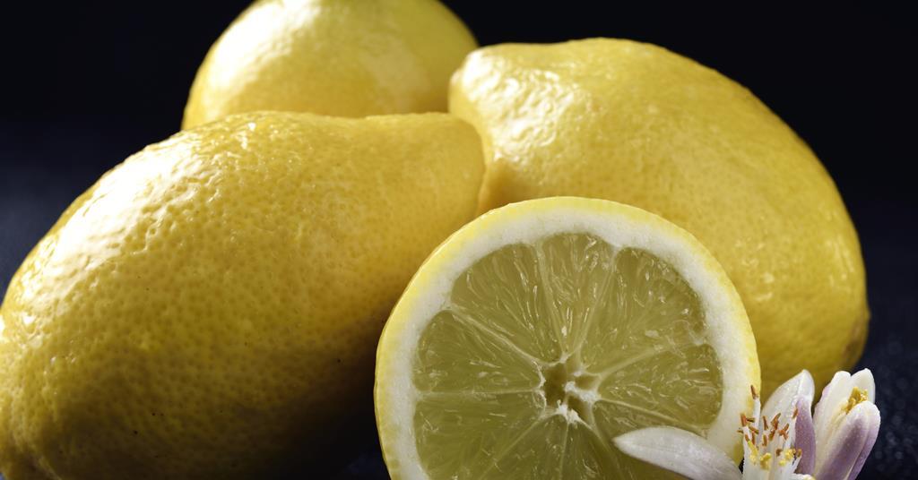 Verna campaign targets young consumers | Article | Fruitnet