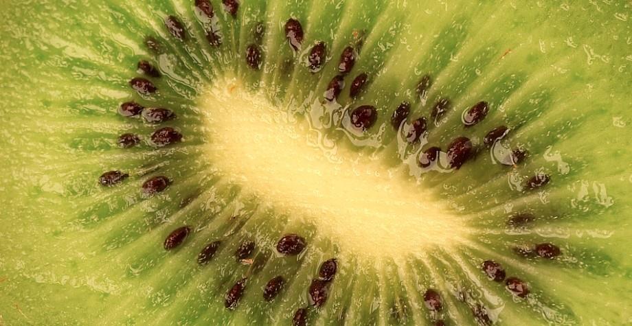 Encouraging kiwifruit trials in Pakistan | Article | Fruitnet