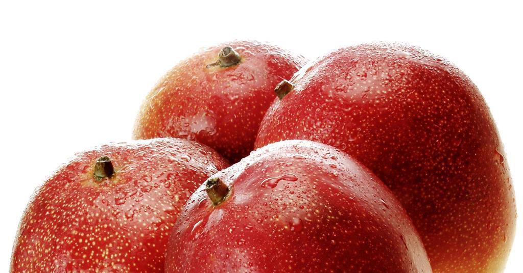 Strong season for Peruvian mangoes | Article | Fruitnet