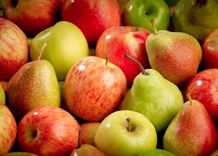 Major hail damage hits Ceres region | Article | Fruitnet