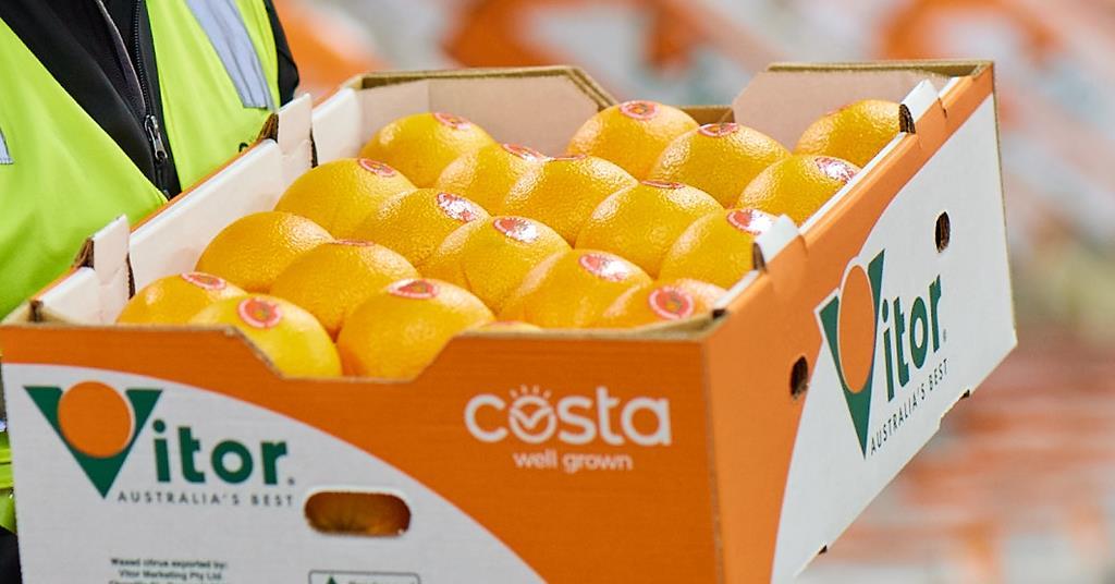Clearing skies for Costa | News | Fruitnet