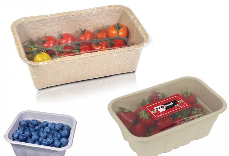 Proseal berry packaging recognised | Article | Fruitnet