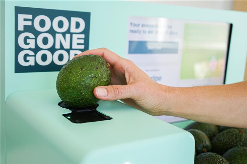 avocado scan