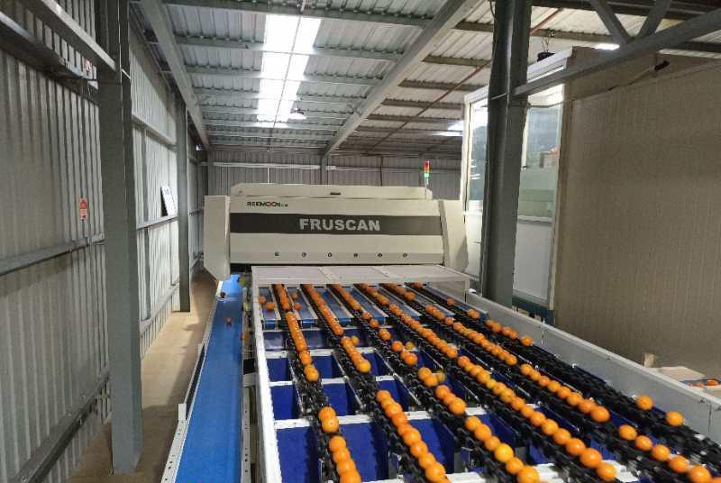 Reemoon sets milestone with Mario’s Packhouse installation ...