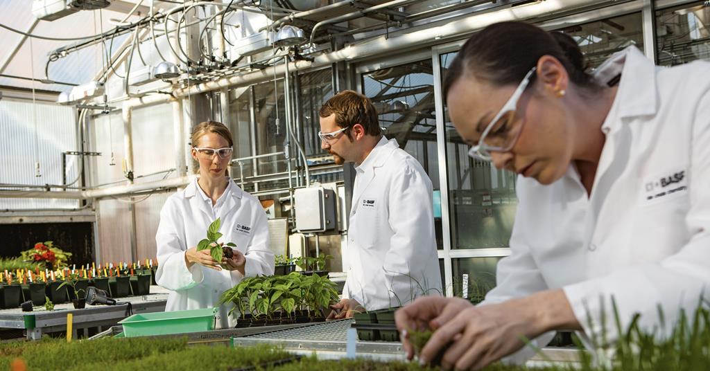 BASF: Deutlicher Umsatzrückgang im dritten Quartal | Article | Fruitnet