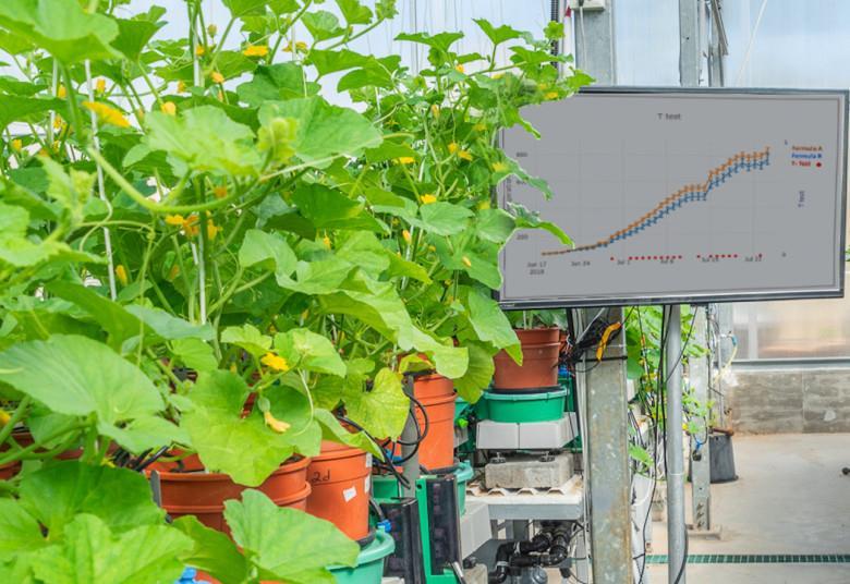 Plantarray aids research effort | Article | Fruitnet