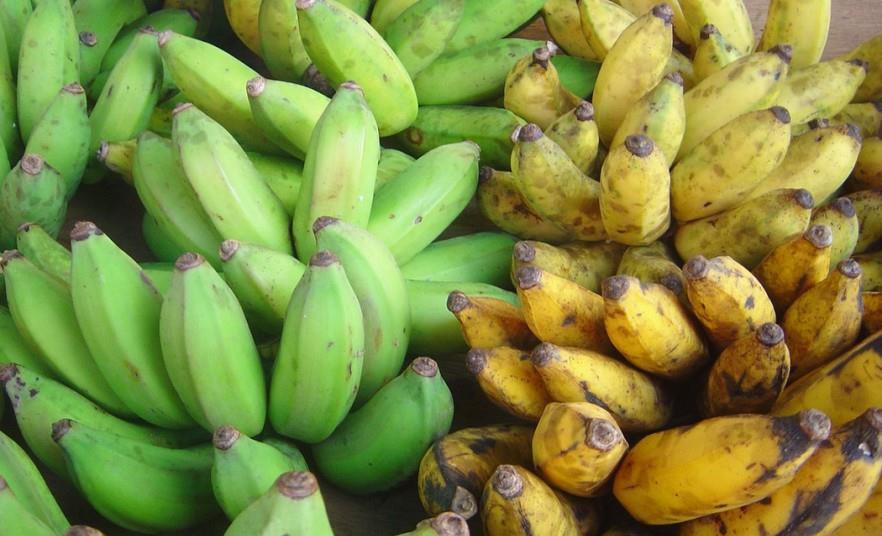 Burundi banana exports on the rise | Article | Fruitnet