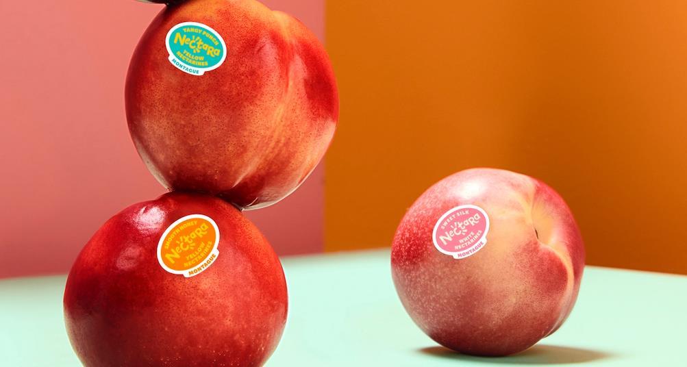 Montague Farms set for strong stonefruit season with packhouse upgrade ...