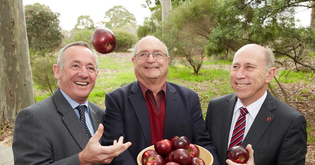 New apple set to be unveiled | Article | Fruitnet