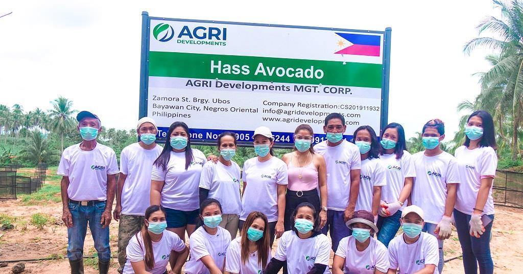 Agri Developments finalises Philippine avocado expansion | Article ...