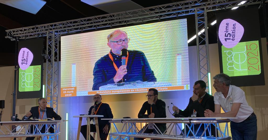 European apricot volumes to return to normal after bumper 2024 crop ...