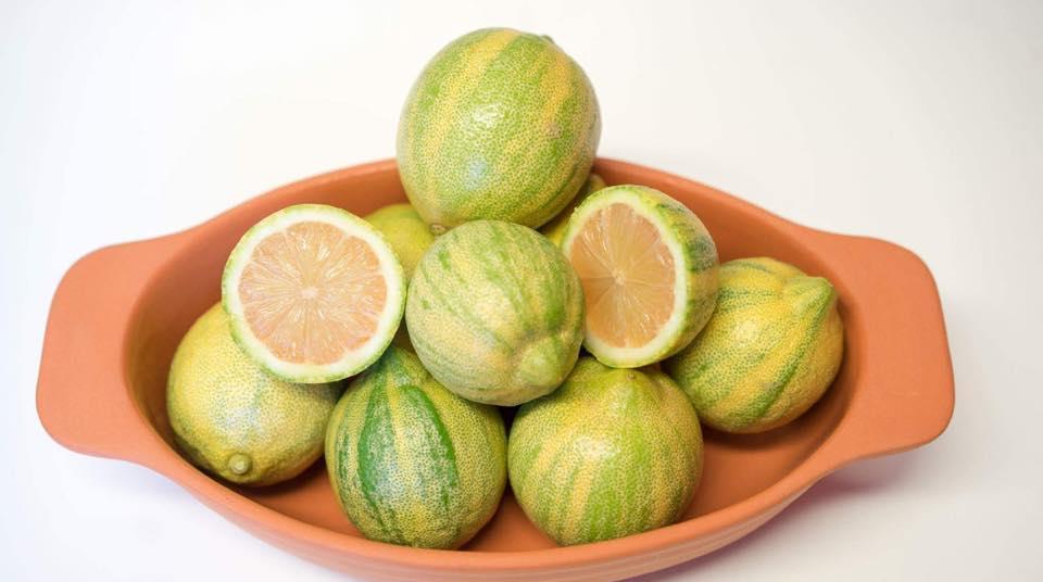 M&S to launch Pink Tiger striped lemon | Article | Fruitnet
