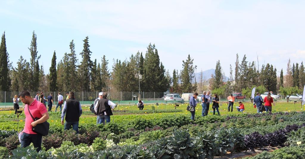 Tozer seeds back on display in 2019 | Article | Fruitnet