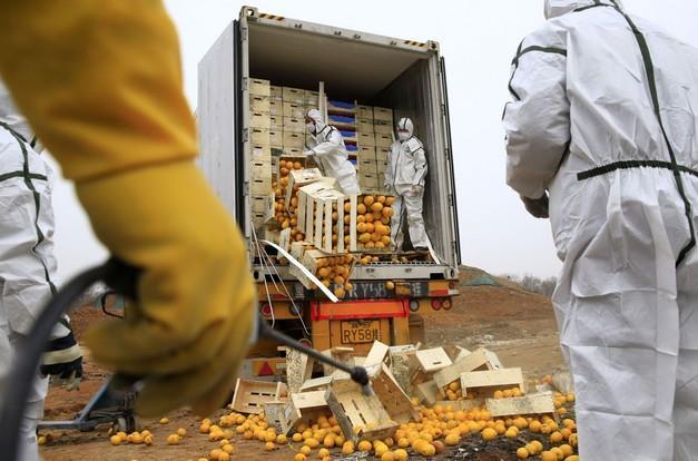 EU food fraud spiked in 2018 | Article | Fruitnet