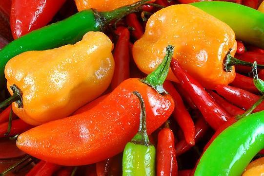 Sales growth tipped for Peru peppers | Article | Fruitnet
