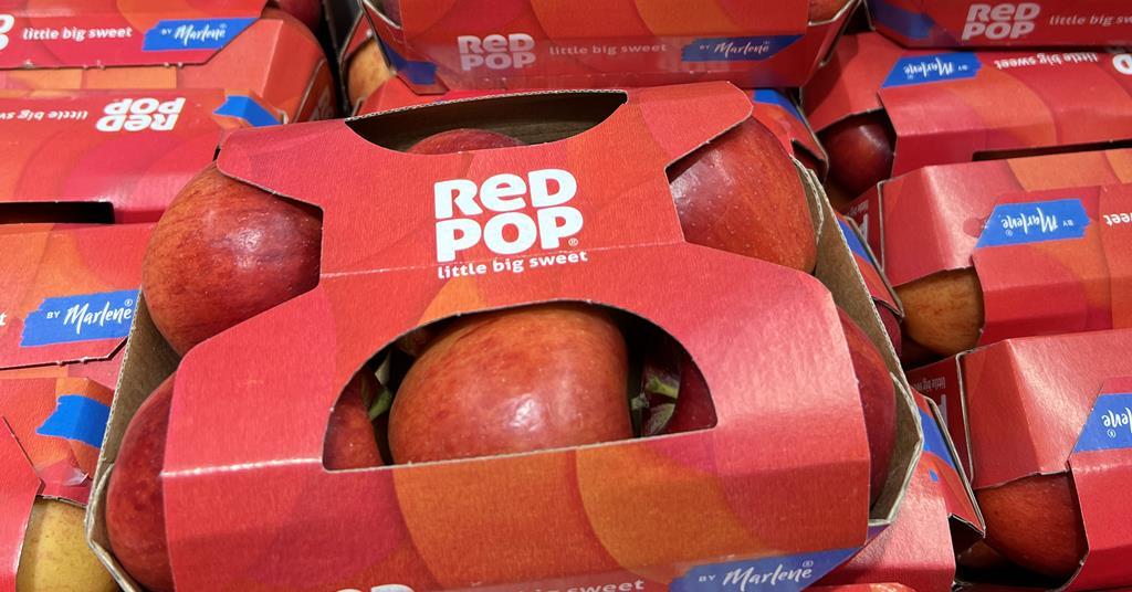 RedPop apples set to double production by 2028 | News | Fruitnet