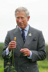 Prince backs Year of Food and Farming | Article | Fruitnet