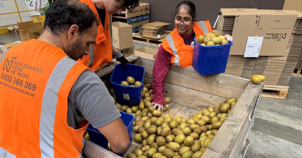 NZFN teams up with kiwifruit industry to tackle food insecurity | News ...