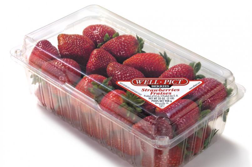 Well Pict launches new packaging | Article | Fruitnet