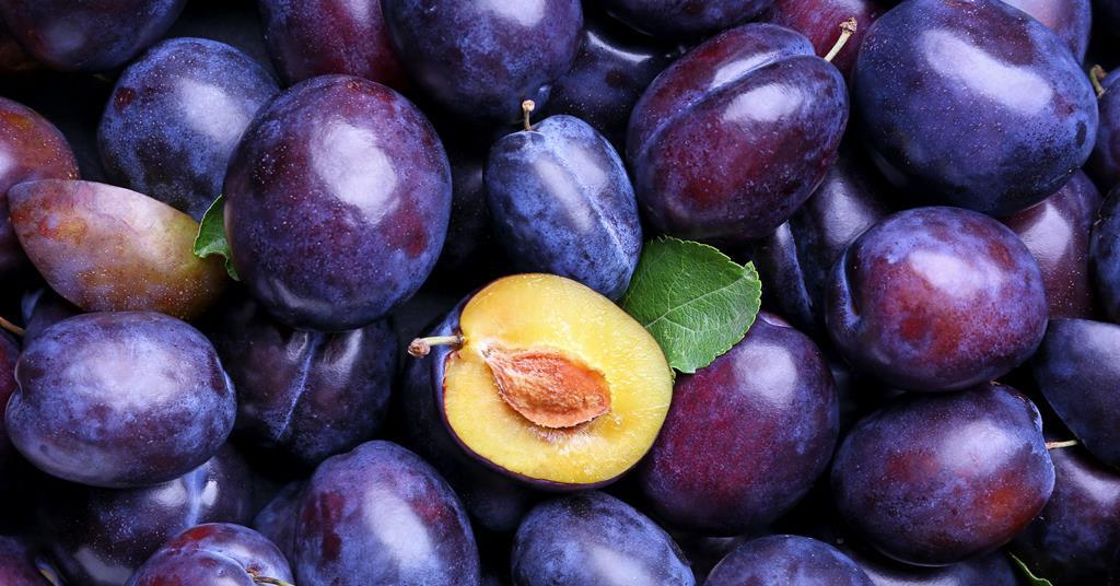 Another good season for South Africa’s interspecific plum varieties ...