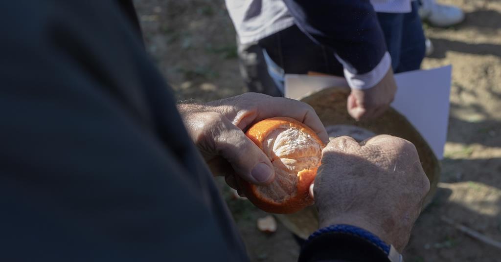 Leanri open days “a resounding success” | News | Fruitnet