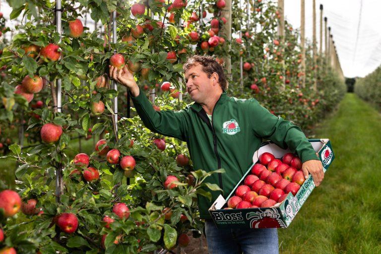 Dutch rail passengers sample Bloss apples | FruitMasters launches new ...