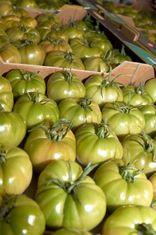 M&S to introduce new tomato | Article | Fruitnet