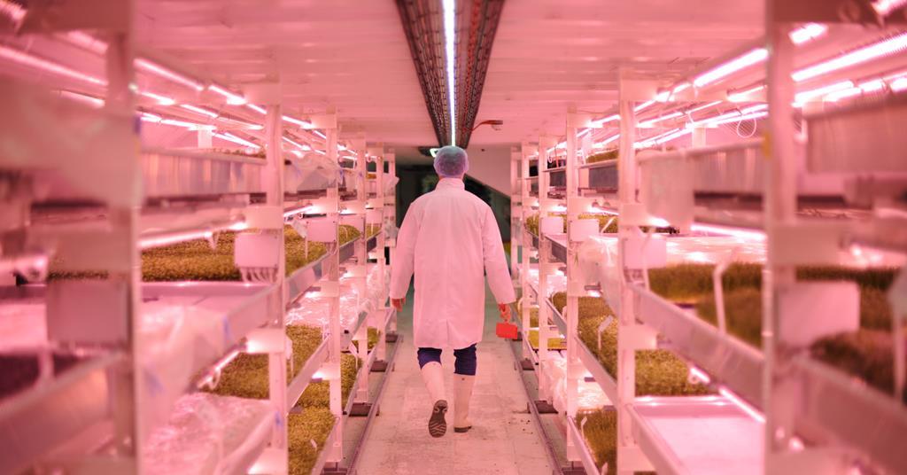 Growing Underground wins Future Food Award | Article | Fruitnet