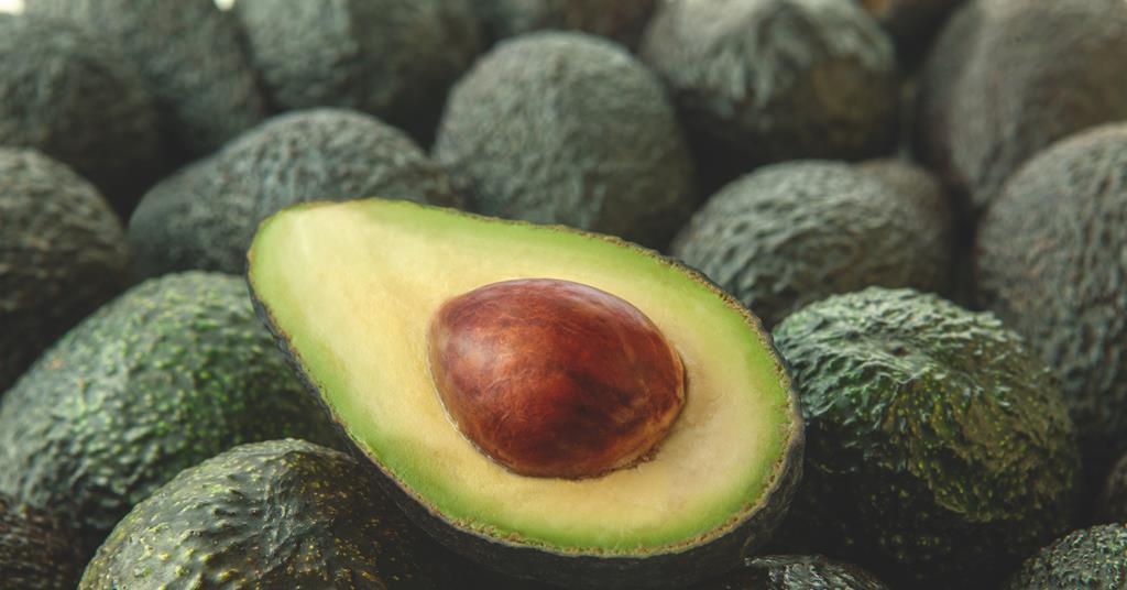 German avocado imports grow 402 per cent in a decade | News | Fruitnet