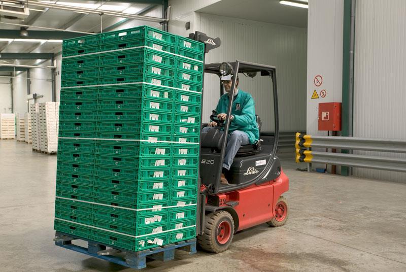 Wada Farms expands Chep relationship | Article | Fruitnet