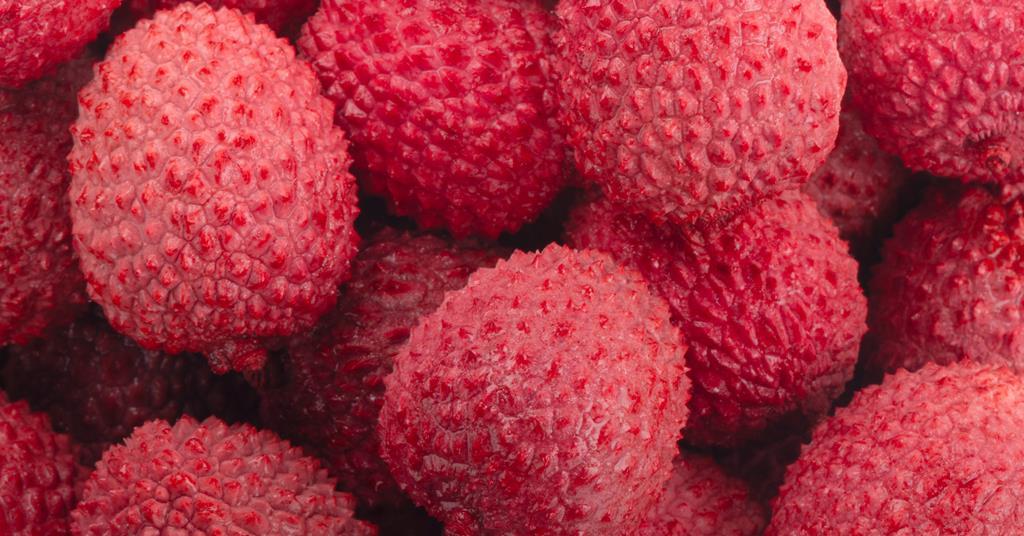 Vietnamese fruit spotlighted in Japan | Article | Fruitnet