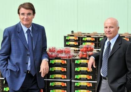 Apofruit unveils new seasonal brand | Article | Fruitnet