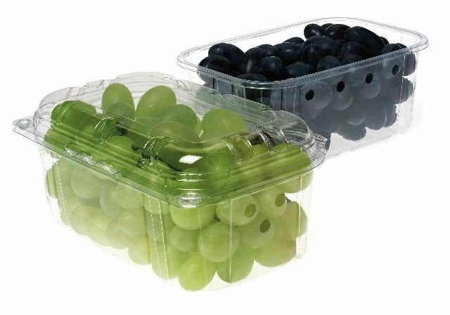 New packaging benefits grape exports | Article | Fruitnet