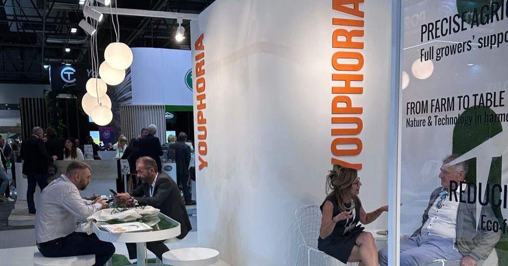 Youphoria focused on collaboration | News | Fruitnet