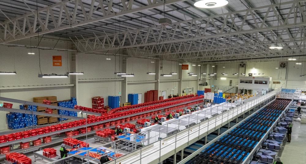 T&G commissions automated Hawke’s Bay packhouse | News | Fruitnet