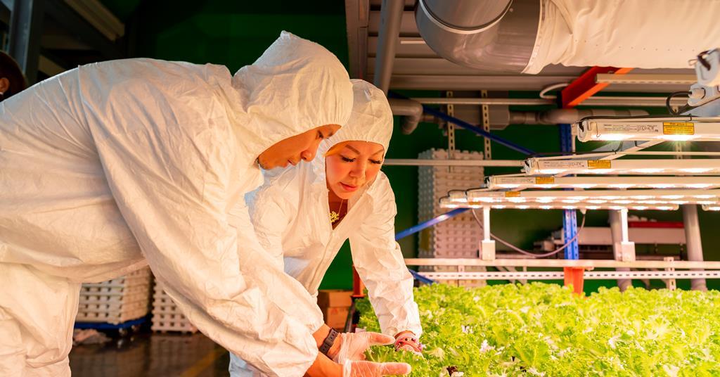 Urban Farming Partners Singapore opens first facility | Article | Fruitnet