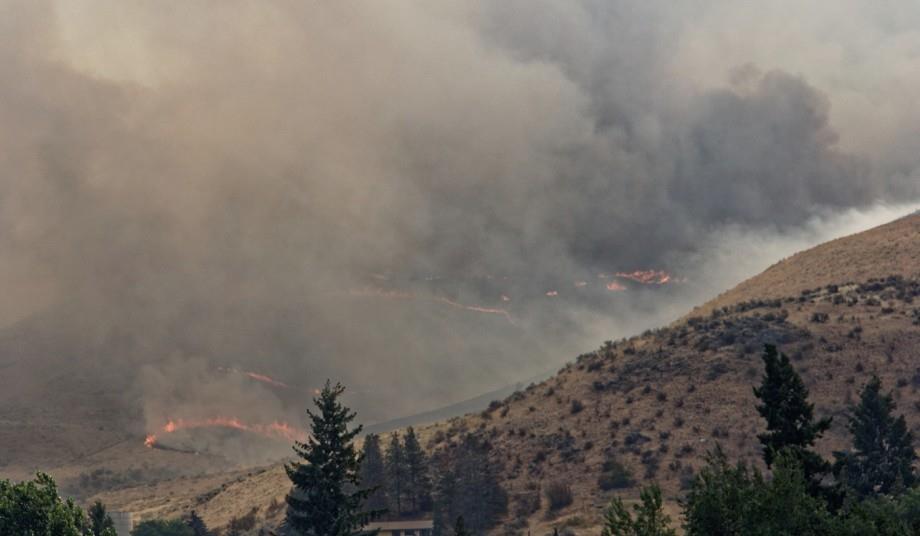 Wildfires have limited impact on Chelan Fresh | Article | Fruitnet