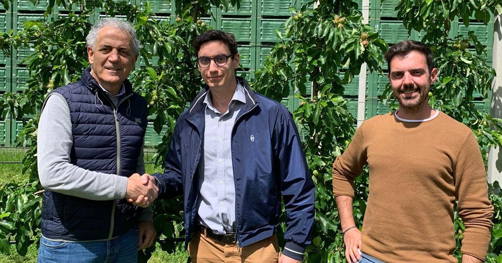 Sanifrutta bets on new club apple variety | News | Fruitnet