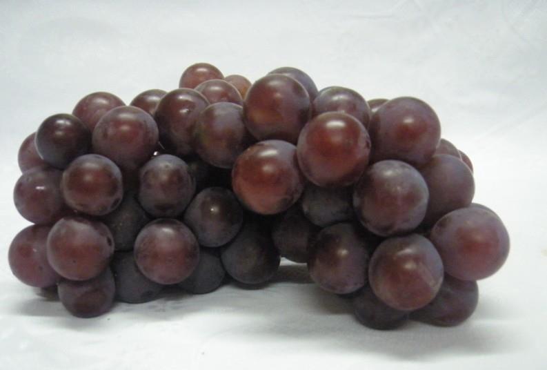 Brazil unveils Red Niagara grape | Article | Fruitnet