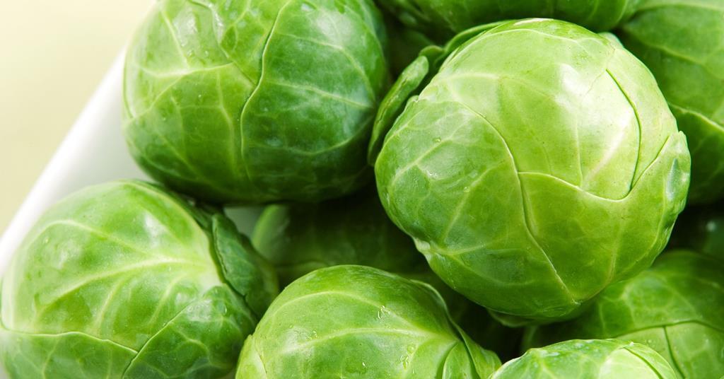 ‘Monster’ sprouts expected at Morrisons | Article | Fruitnet